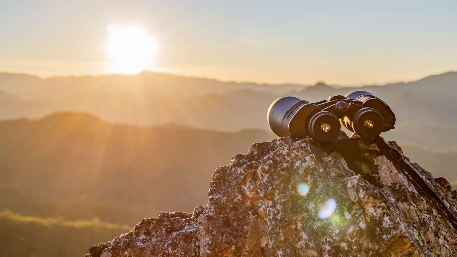 InfoZoom product variants | Licensing models for your success